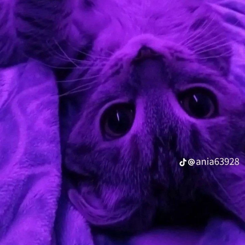 Gary (@gary20243427) | Snapchat Stories, Spotlight & Lenses