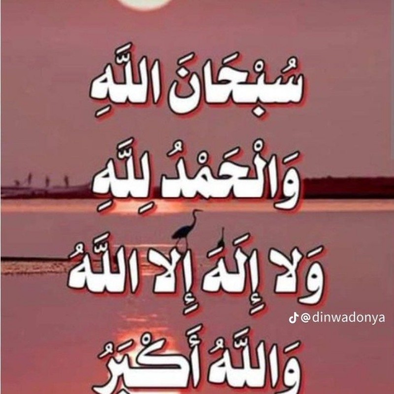 Ghada Elmakawy (@ghadaelmakawy) | Snapchat Stories, Spotlight & Lenses