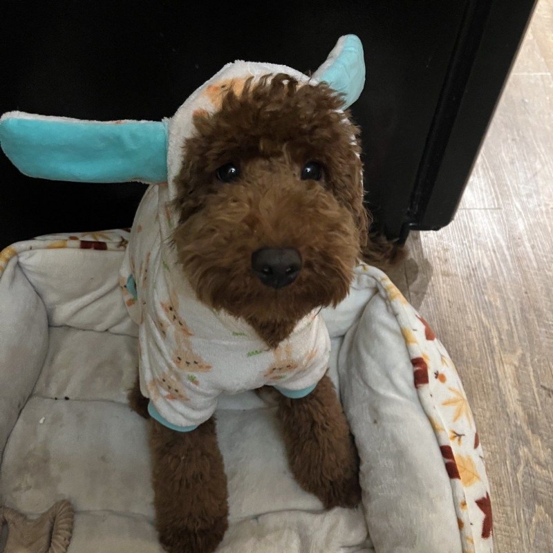 🇮🇹Gia🏀⚽️ ️ (@gia23000) | Snapchat Stories, Spotlight & Lenses