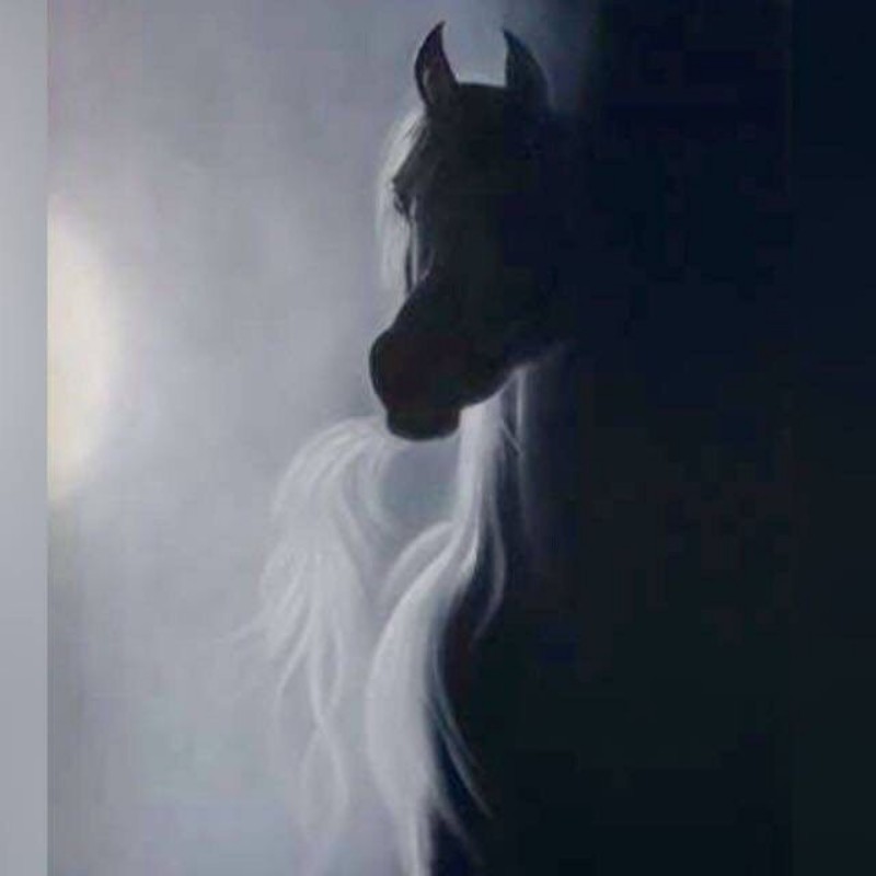 F.S ♠️ (@gr.75) | Snapchat Stories, Spotlight & Lenses