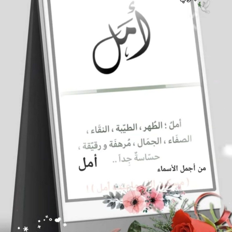 أمل (@grb5544) | Snapchat Stories, Spotlight & Lenses