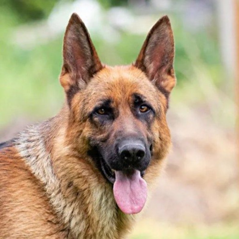 Gta Lover (@gta.lover22) | Snapchat Stories, Spotlight & Lenses