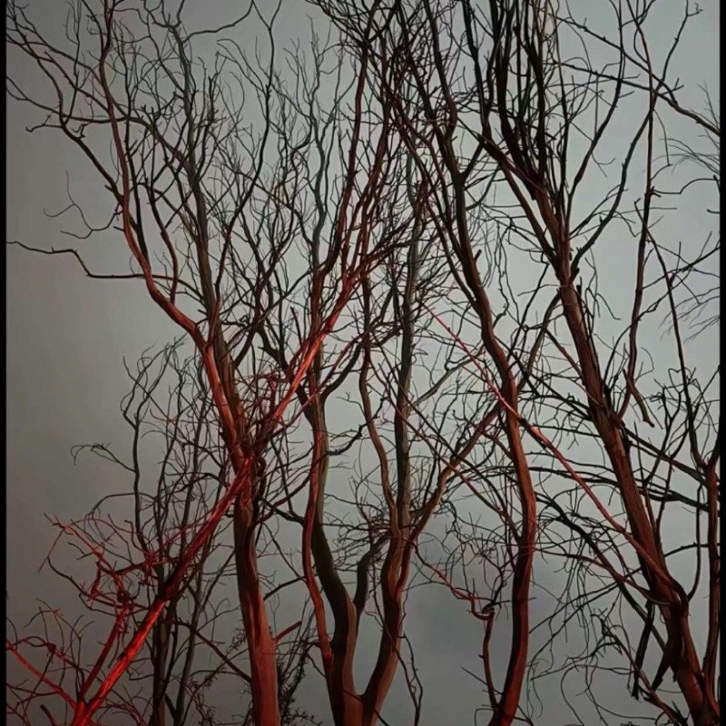 نــأيف〆 (@h-tf1) | Snapchat Stories, Spotlight & Lenses