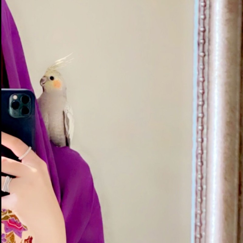 ~7no~ (@h.hh9020) | Snapchat Stories, Spotlight & Lenses