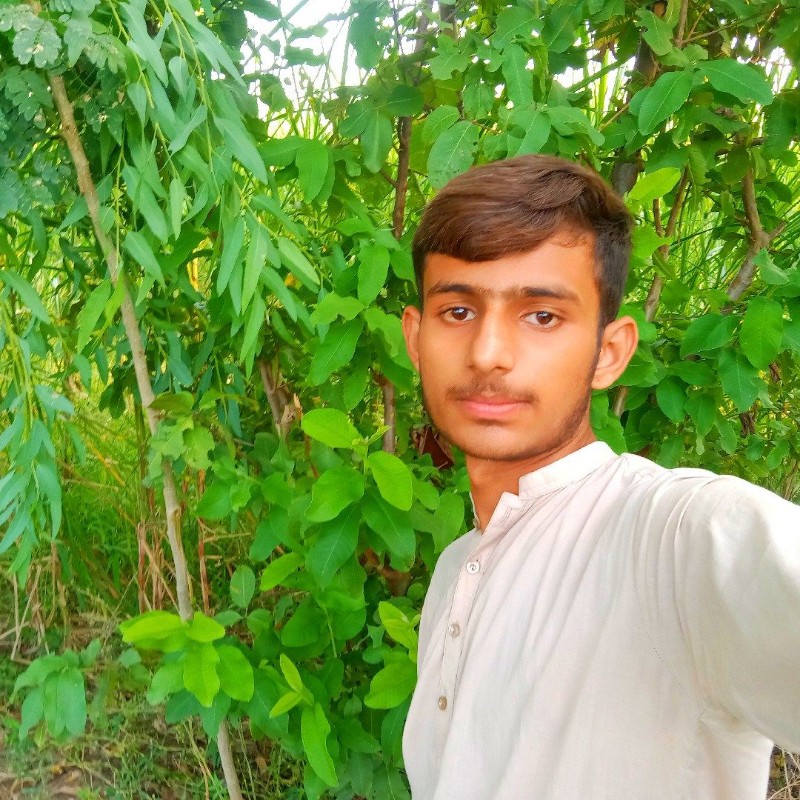 Haseeb Haseeb (@h_haseeb252198) | Snapchat Stories, Spotlight & Lenses