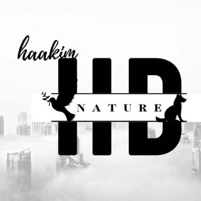 Haakim Hd Nature (@haakimpet) | Snapchat Stories, Spotlight & Lenses