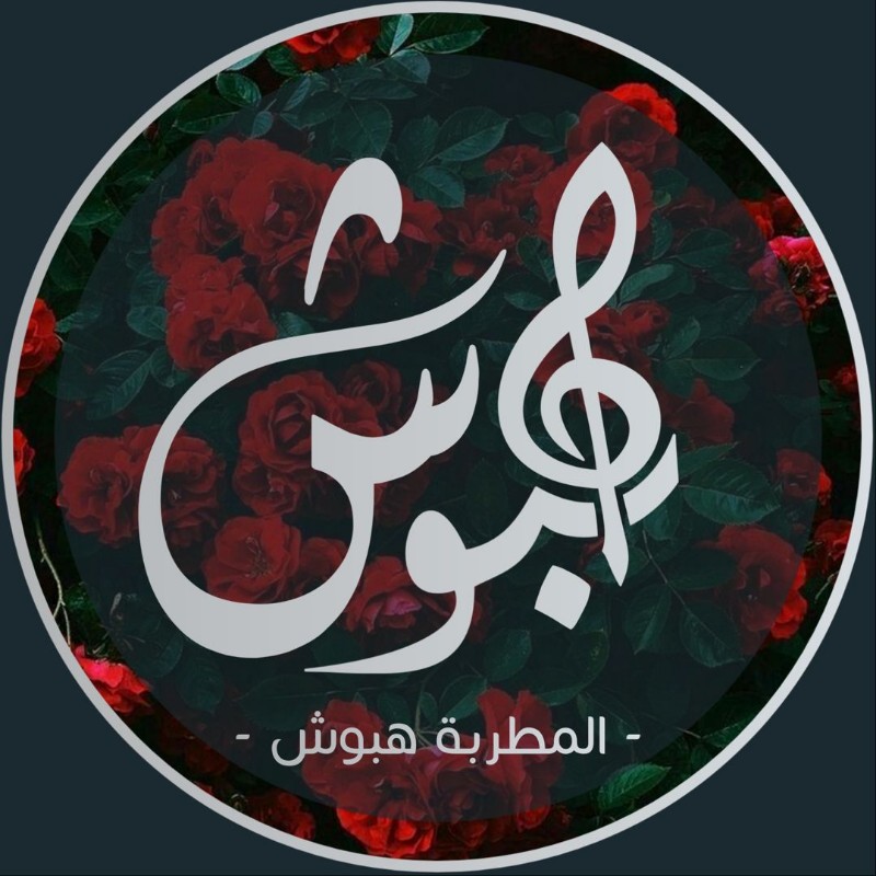 Hiba Abdulrehman 🌀 (@habooshastar) | Snapchat Stories, Spotlight & Lenses