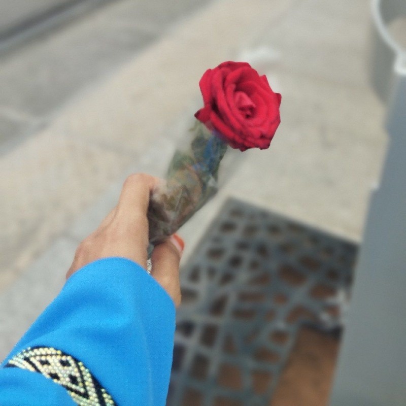 A M O U N A 🐉💗 (@hadil_ii) | Snapchat Stories, Spotlight & Lenses