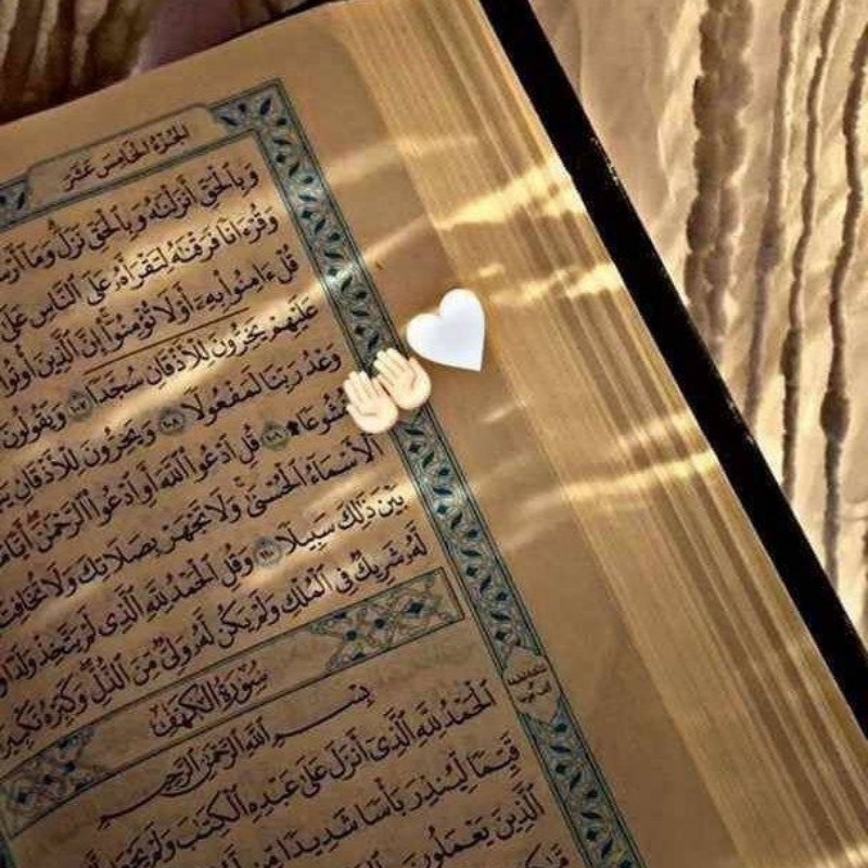 Hafso Ahmed (@hafso_a2372) | Snapchat Stories, Spotlight & Lenses