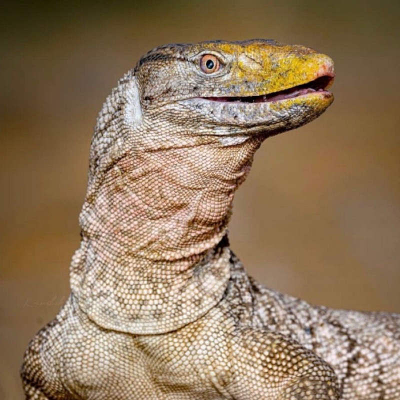 أسعد حكمي☠︎☠ (@hakmi-1414) | Snapchat Stories, Spotlight & Lenses