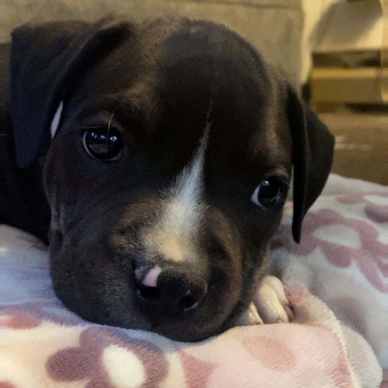 Haley (@haleypotter2025) | Snapchat Stories, Spotlight & Lenses