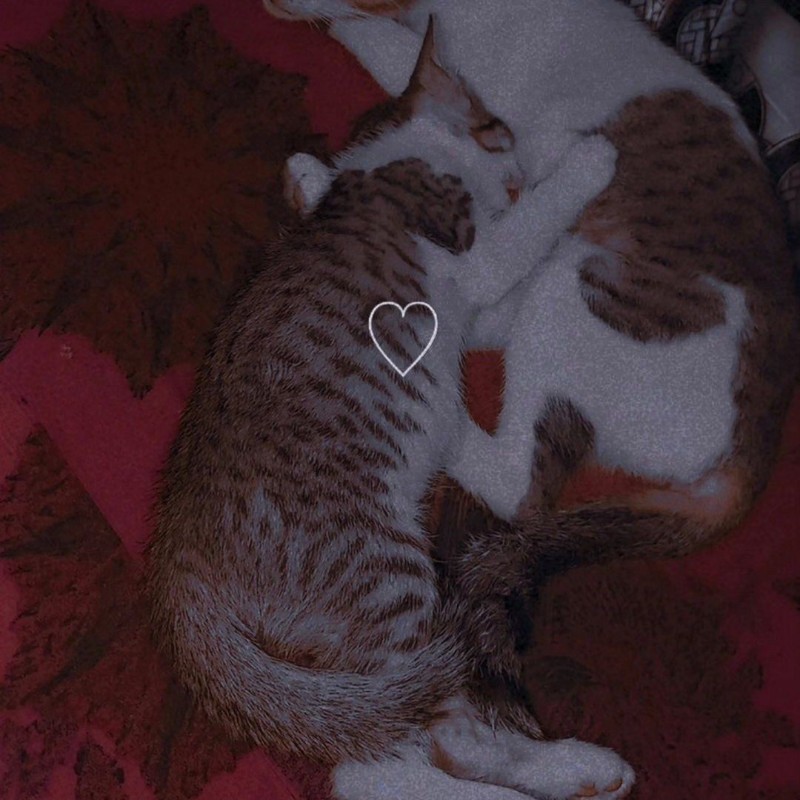 Xaliima Sacdiya (@halimo_rage2021) | Snapchat Stories, Spotlight & Lenses