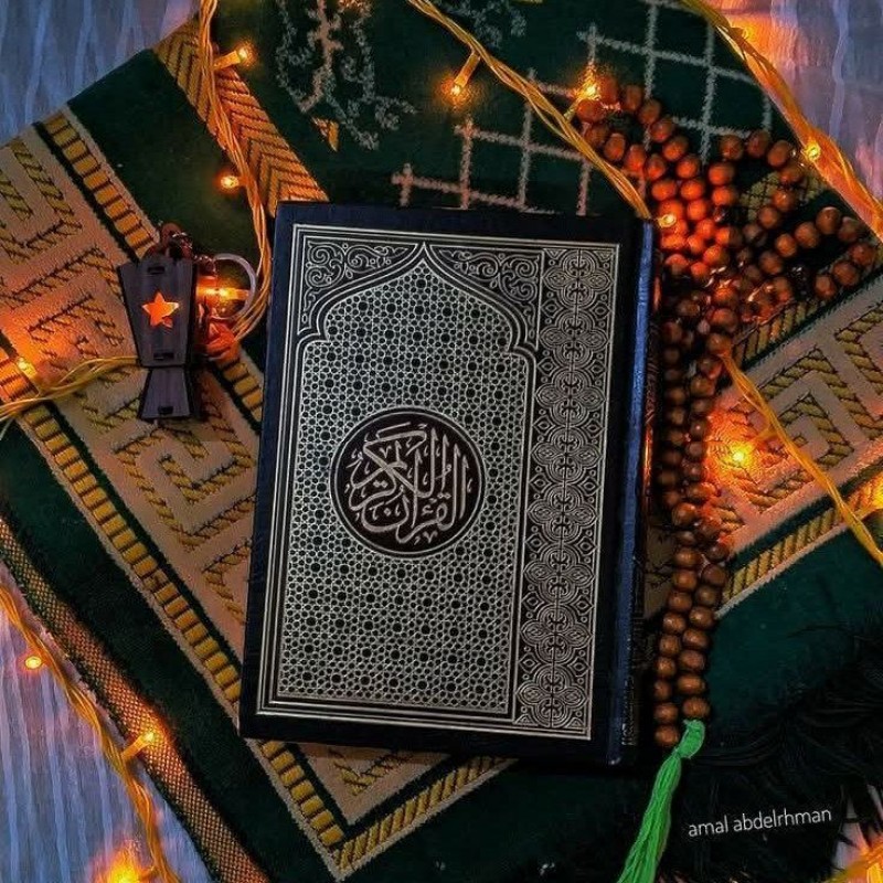 Dr Imdad (@hamida_imdad) | Snapchat Stories, Spotlight & Lenses