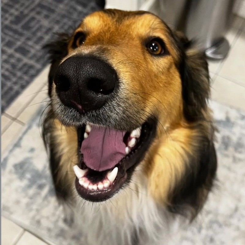 Hana Nghiem (@hana_nghiem) | Snapchat Stories, Spotlight & Lenses