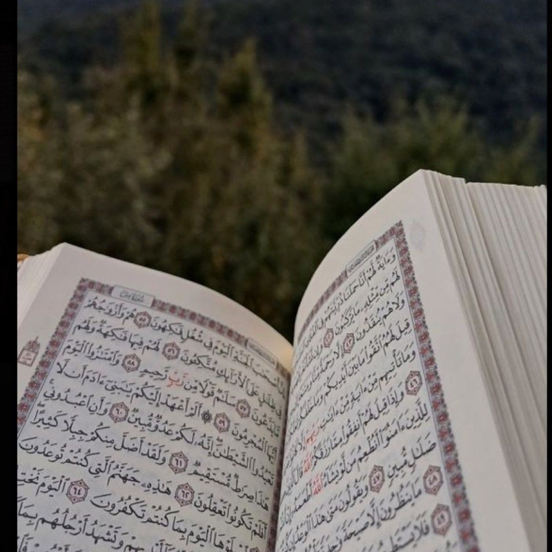 Hanade🧸🤎 (@hanade.33) | Snapchat Stories, Spotlight & Lenses