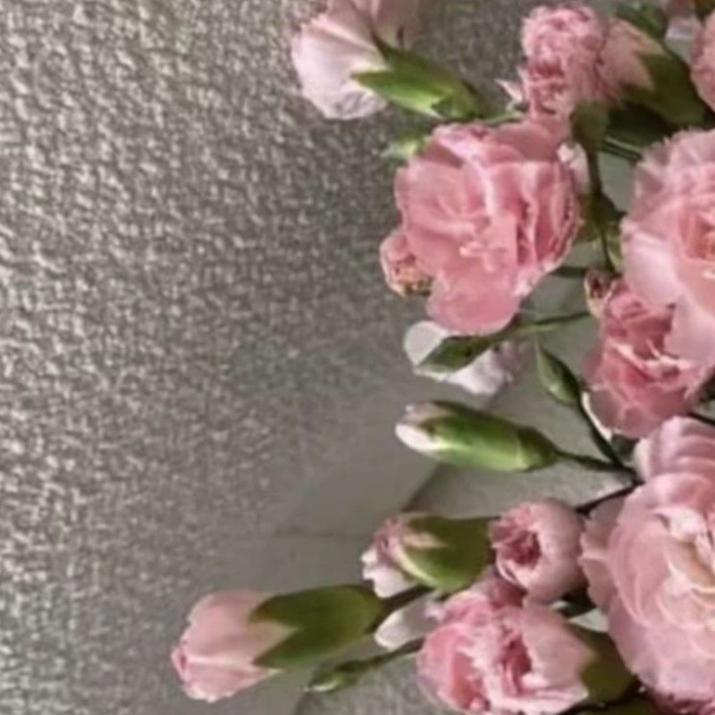 Hanoo 🌸 (@hanenessa) | Snapchat Stories, Spotlight & Lenses