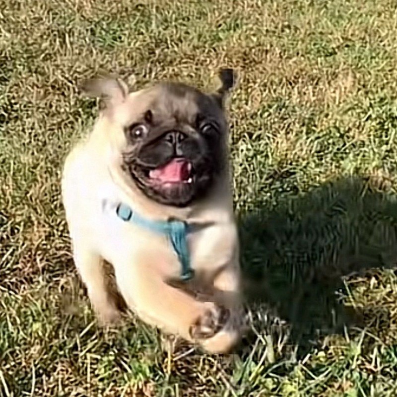 Madame Z🎀💍 (@hanine_amr) | Snapchat Stories, Spotlight & Lenses