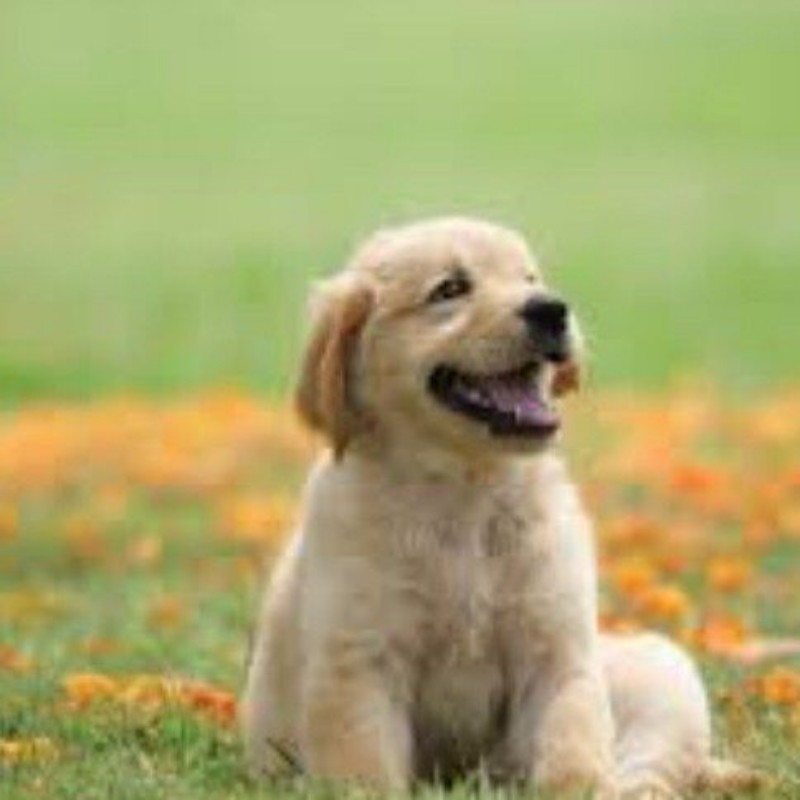 Uyiosa Idahor (@harry.isaac) | Snapchat Stories, Spotlight & Lenses