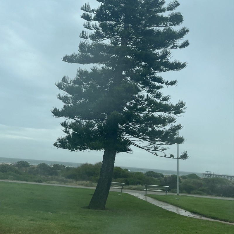 Haylee🙈 (@haylee0222) | Snapchat Stories, Spotlight & Lenses