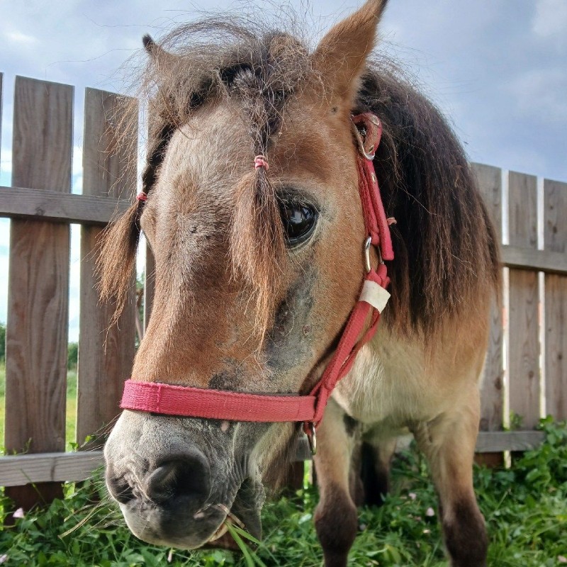 🥥M🥥 ️ (@hellogirlkitty) | Snapchat Stories, Spotlight & Lenses