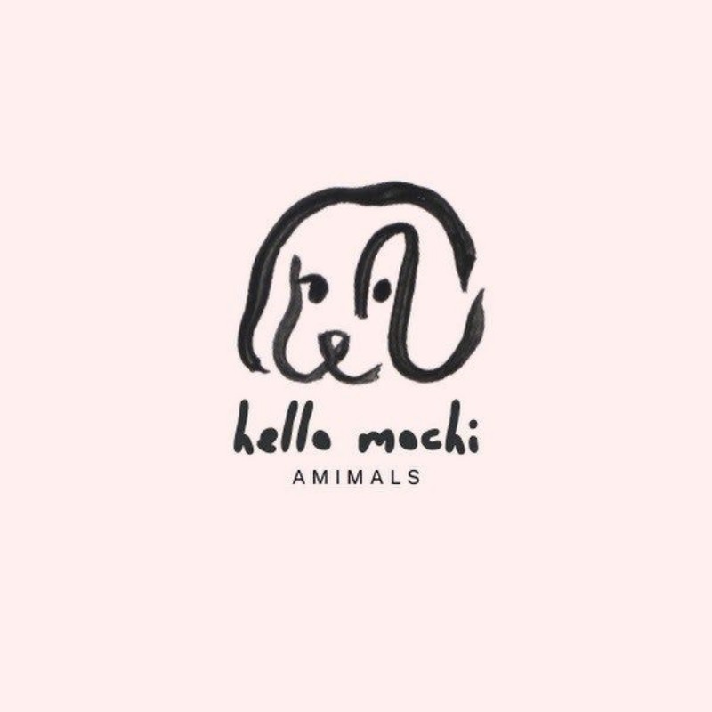 hello mochi (@hellomochipuppy) | Snapchat Stories, Spotlight & Lenses