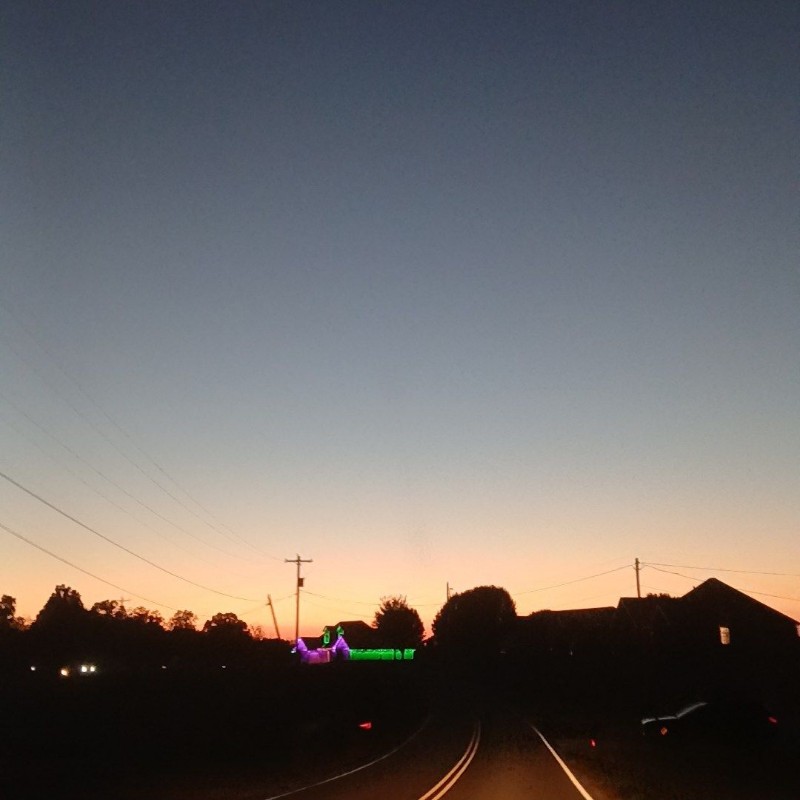 Logan Orange (@her.cygnus) | Snapchat Stories, Spotlight & Lenses