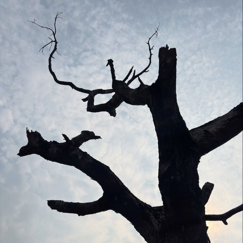 Manish Shivhare 👀 (@hey_manish52) | Snapchat Stories, Spotlight & Lenses