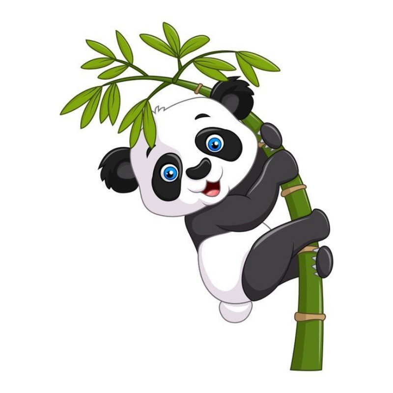🐼 (@hey_reshu70) | Snapchat Stories, Spotlight & Lenses