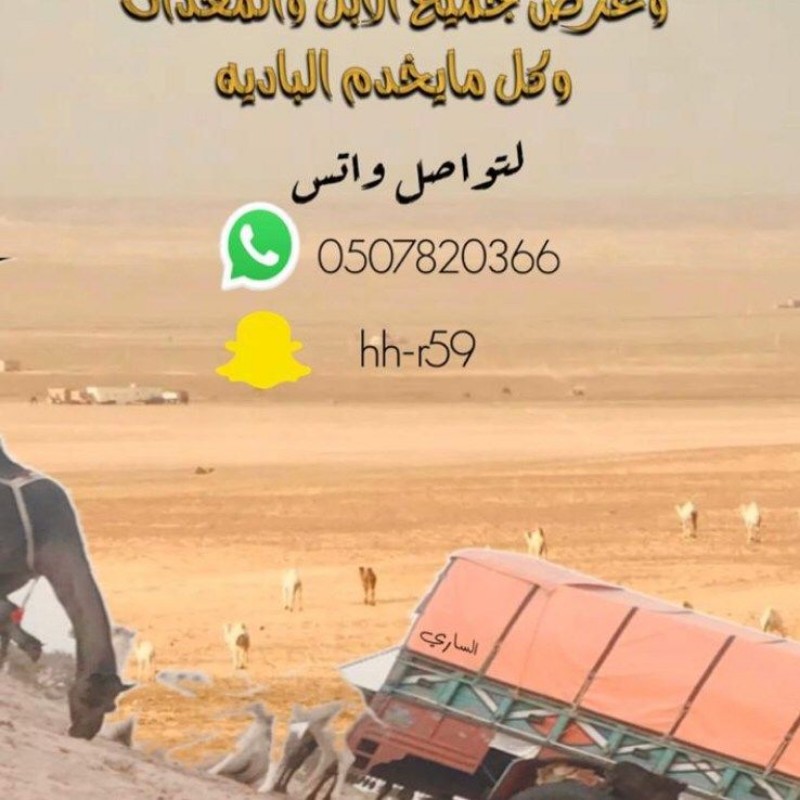 سناب الوديان لبيع الابل ومعدات (@hh-r59) | Snapchat Stories, Spotlight & Lenses