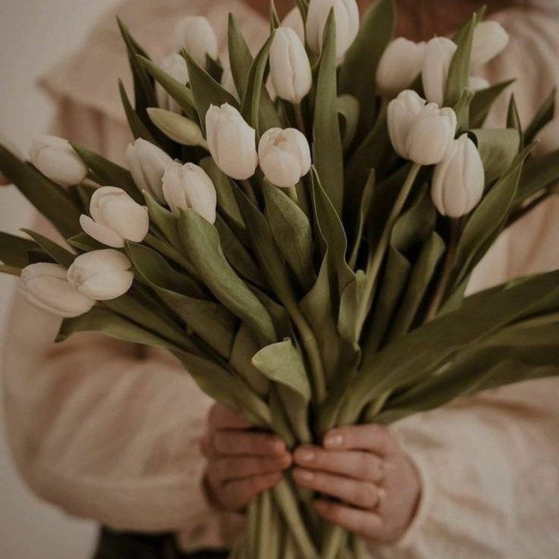 احلام ᷂ ᷂الشريف (@hlam_101) | Snapchat Stories, Spotlight & Lenses