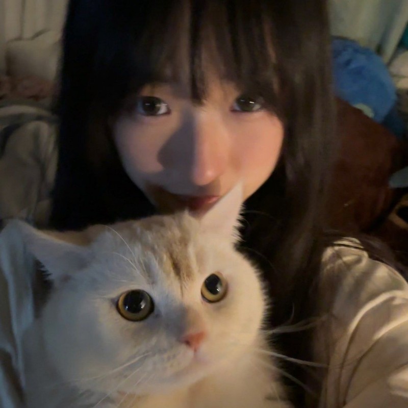 hailey leung (@hleung0116) | Snapchat Stories, Spotlight & Lenses