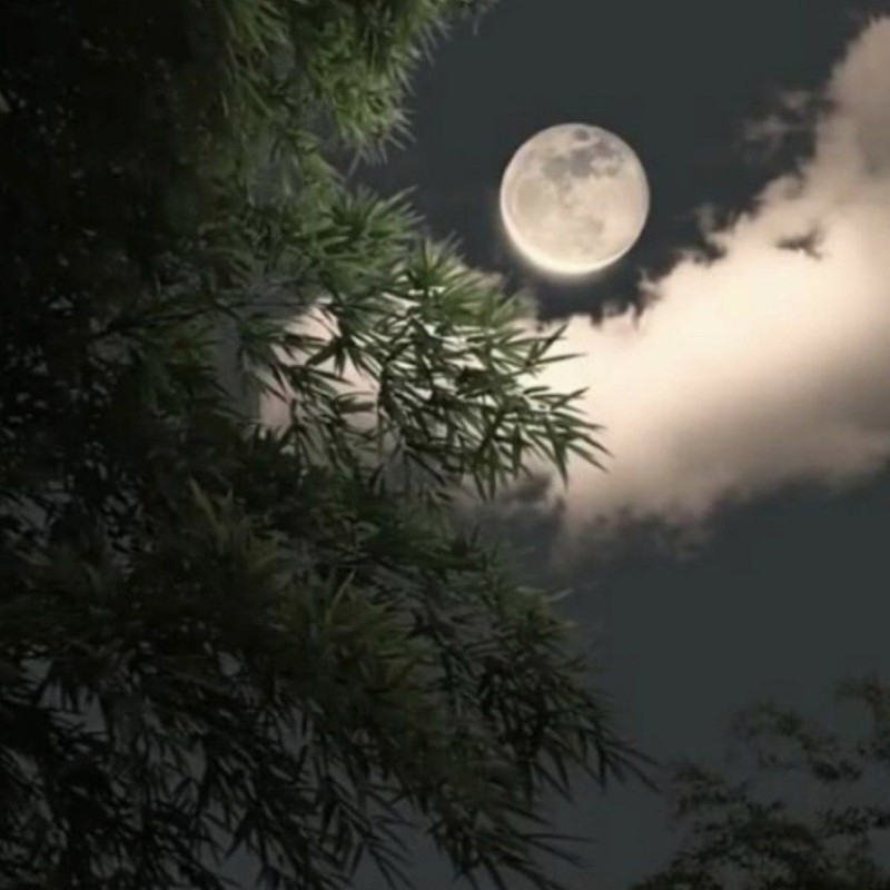 هيله الباحوث 🦚 (@hloo_w) | Snapchat Stories, Spotlight & Lenses