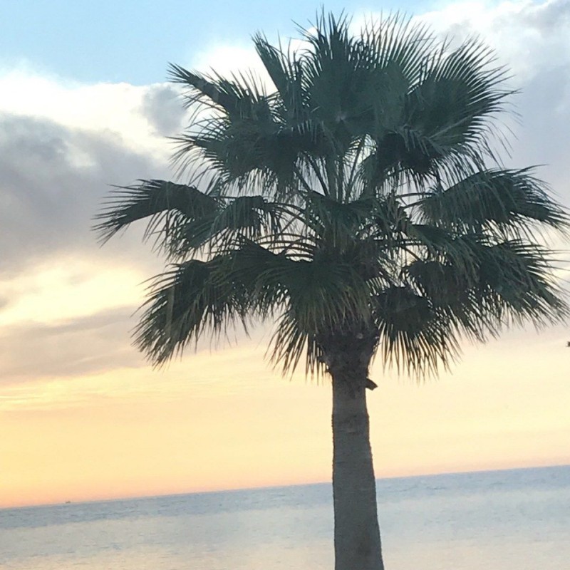 صد♥قـــے االـــمـ♥ـــشــــااعــ (@hm-55455) | Snapchat Stories ...