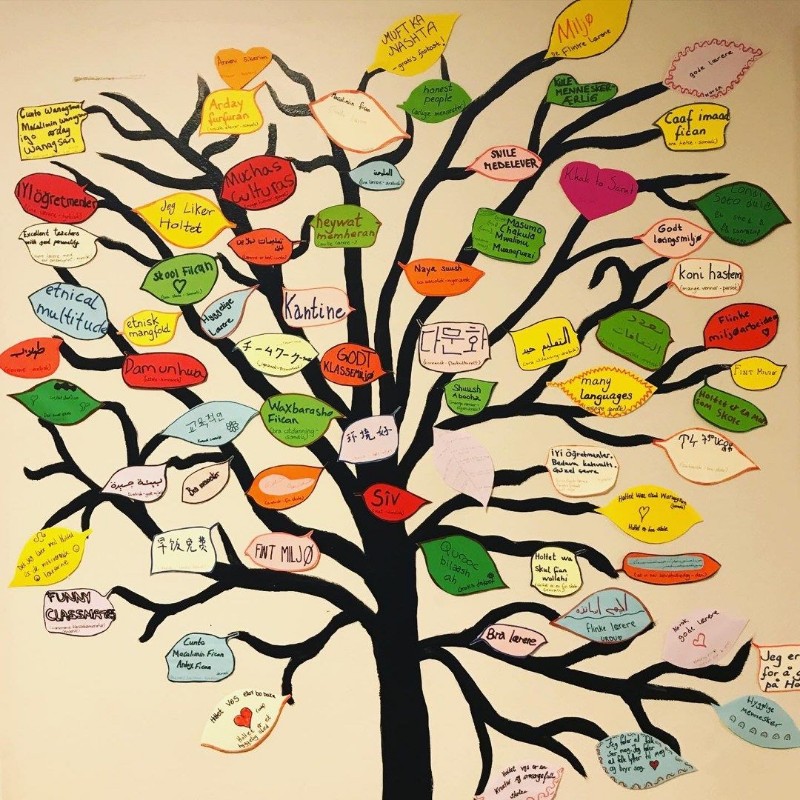 Holtet Vgs 🩺🧸🚑 (@holtetvgs) | Snapchat Stories, Spotlight & Lenses