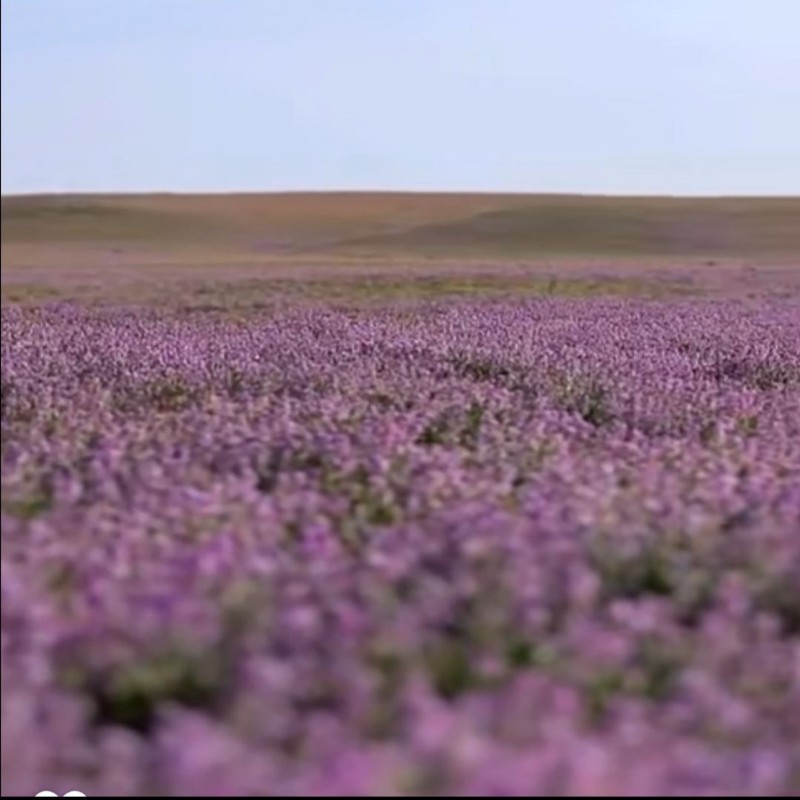 مشاعل الغيداني (@htan-2023) | Snapchat Stories, Spotlight & Lenses