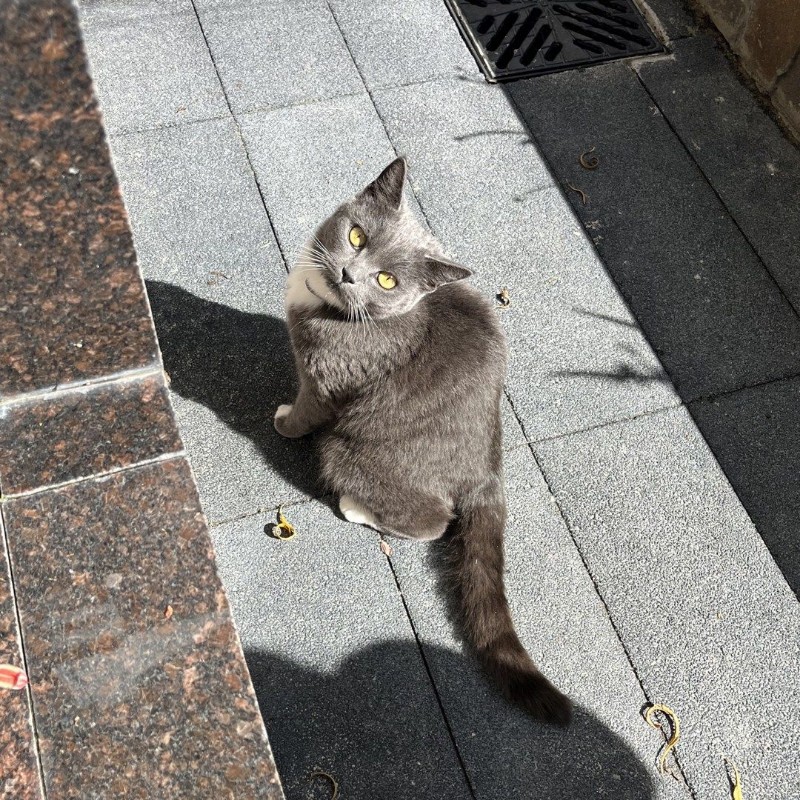 Женя (@i_mut2024) | Snapchat Stories, Spotlight & Lenses