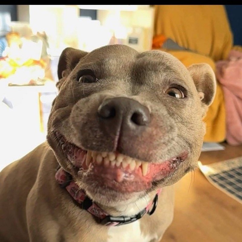 Îåñ ️🎸🪴 (@i_wright5638) | Snapchat Stories, Spotlight & Lenses