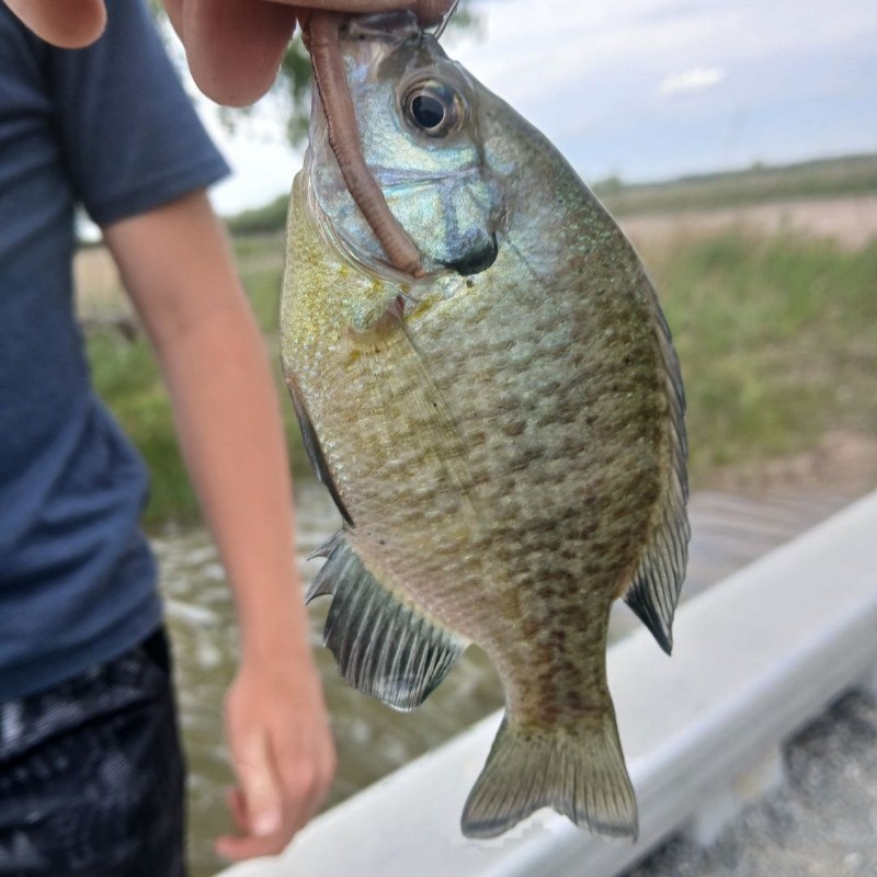 Ian Guynan (@ianguynan) | Snapchat Stories, Spotlight & Lenses