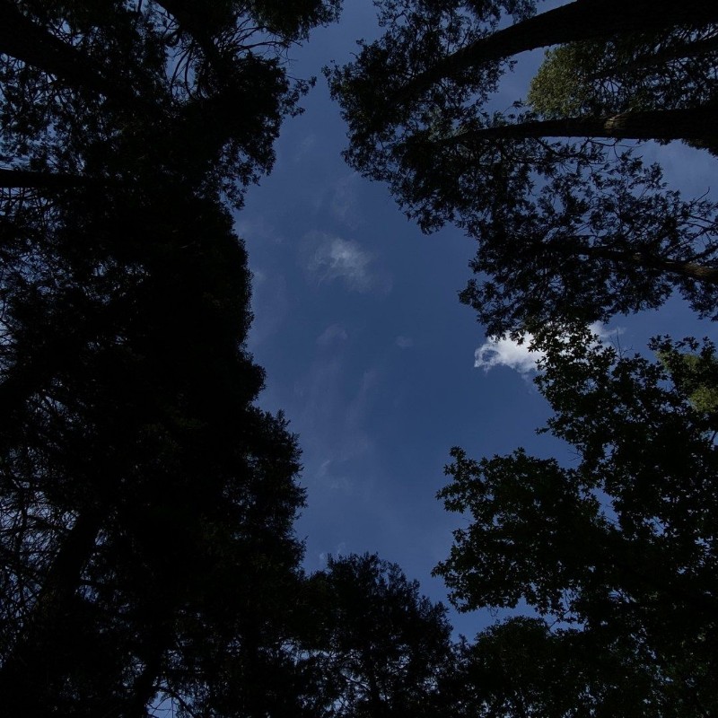 ibrahim||इब्राहिम ･* (@ib_se1) | Snapchat Stories, Spotlight & Lenses