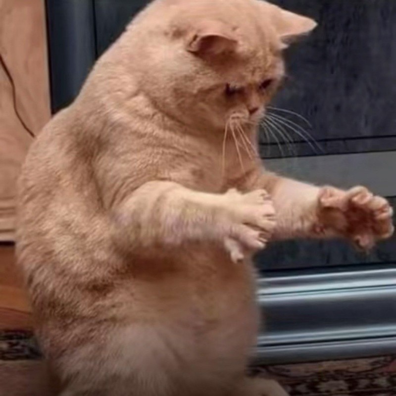 IJ4⚽🐐🇳🇬🏴󠁧󠁢󠁥󠁮󠁧󠁿 (@igani_jnr) | Snapchat Stories, Spotlight and Lenses