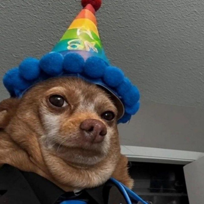 MorrisFx (@igwedibia_isaac) | Snapchat Stories, Spotlight & Lenses