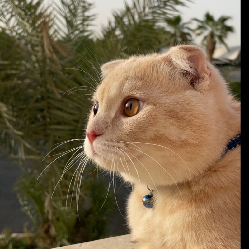 iSelect Diary 🇰🇼 (@iiiselect) | Snapchat Stories, Spotlight & Lenses