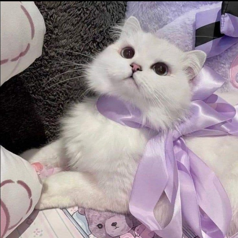 Inah ️ (@iina023) | Snapchat Stories, Spotlight & Lenses