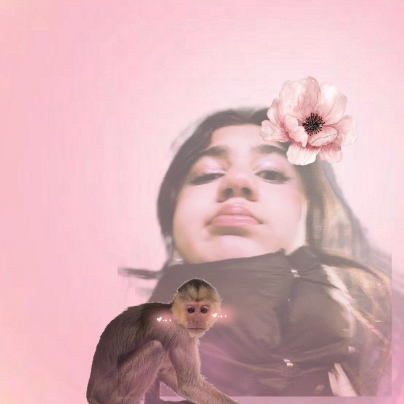 ITS rouaa⭐️ (@influencerrouaa) | Snapchat Stories, Spotlight & Lenses