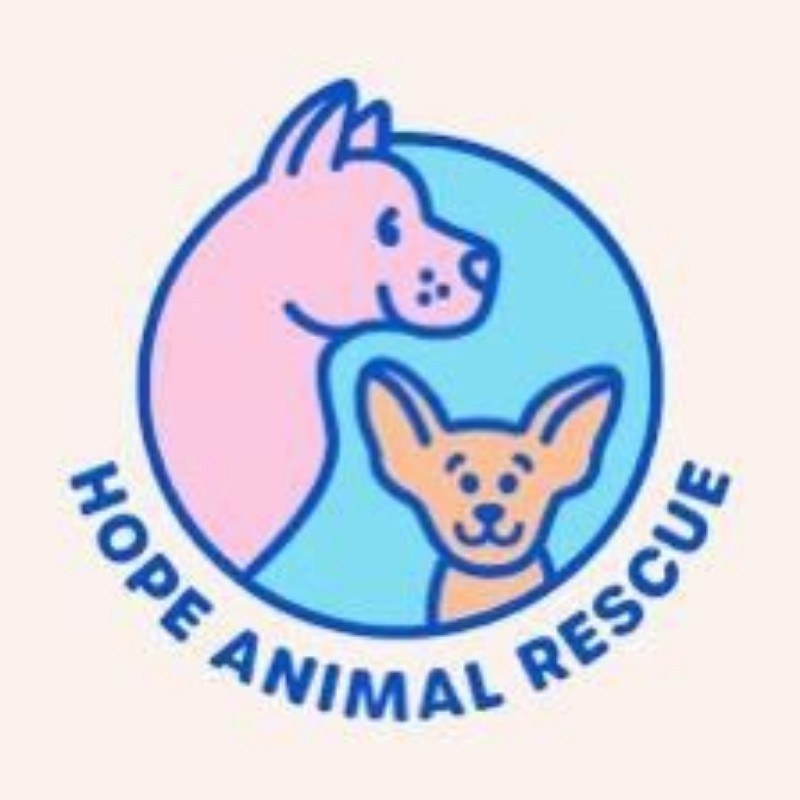 Inspirational Work (@inspiration7297) | Snapchat Stories, Spotlight ...