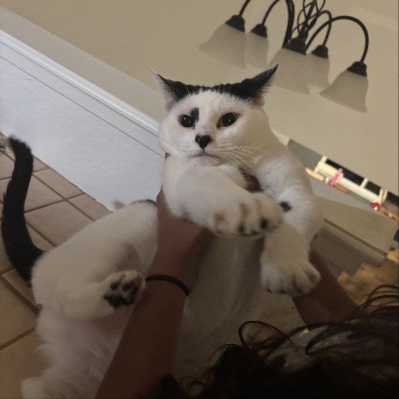 Isha🦅💋🇮🇳 (@isha_cutie12) | Snapchat Stories, Spotlight & Lenses