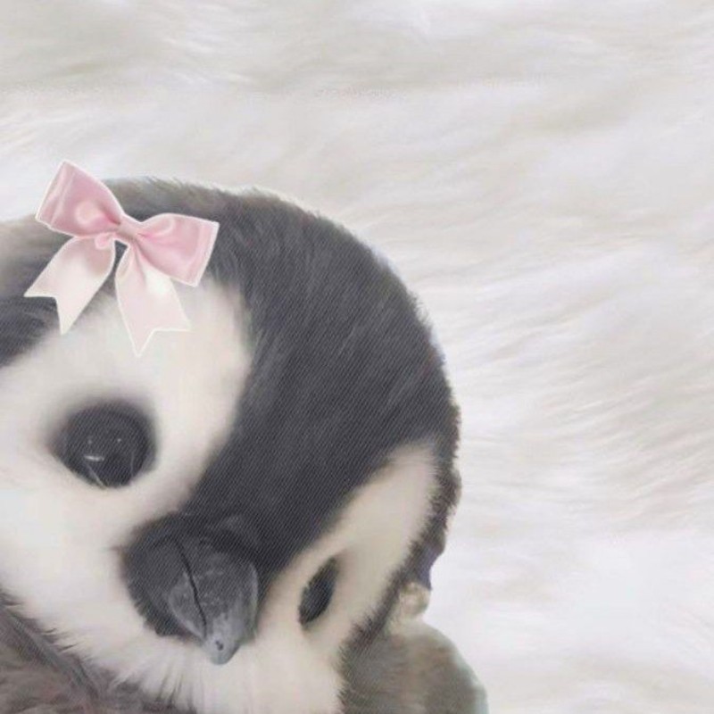 Disha☁️ (@ishahhh_hhh) | Snapchat Stories, Spotlight & Lenses