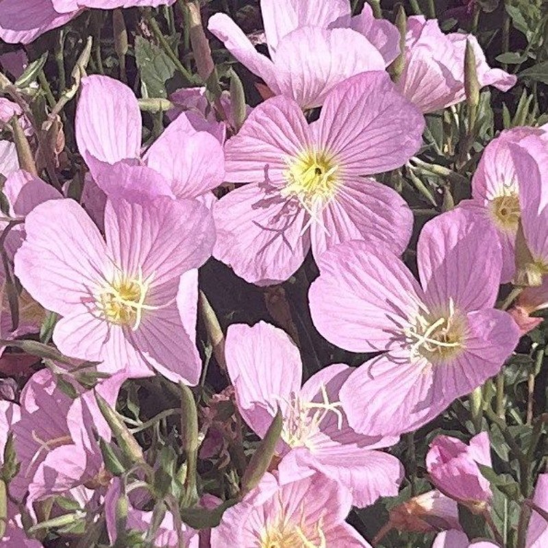 Issa 🤑 (@issler.m) | Snapchat Stories, Spotlight & Lenses