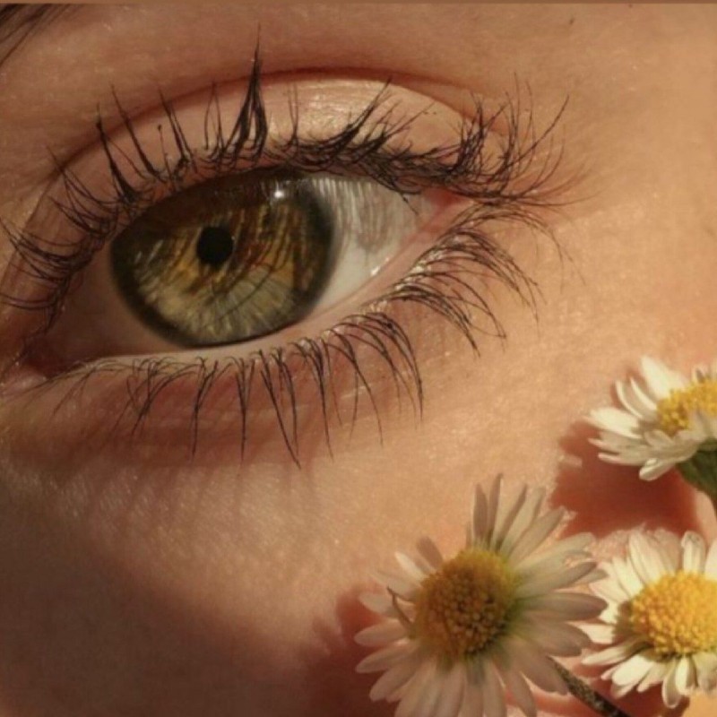 ارتزہ🦋 (@itx_019) | Snapchat Stories, Spotlight & Lenses