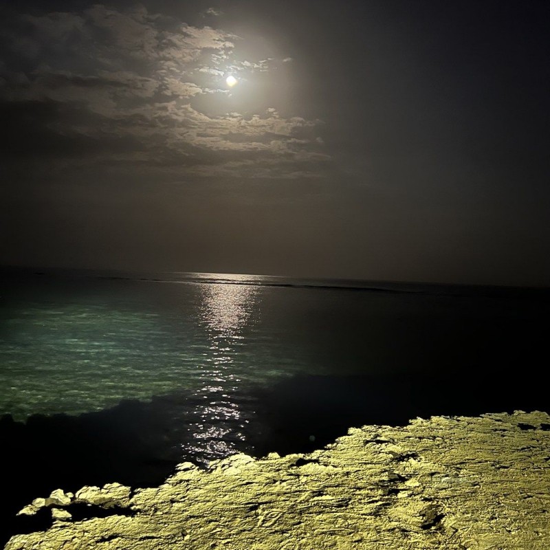 A🍃 (@ixo-v) | Snapchat Stories, Spotlight & Lenses